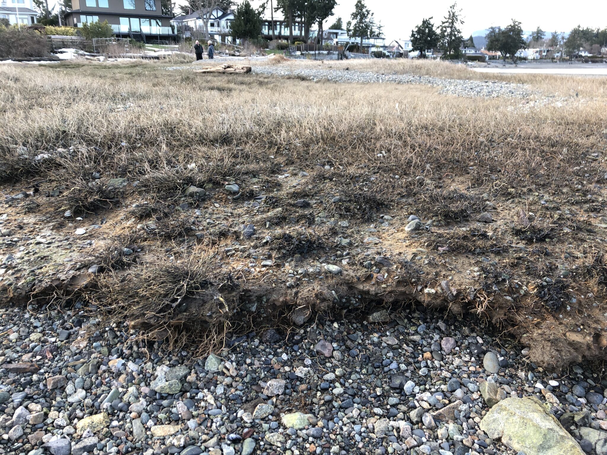Roberts Bay – SeaChange Marine Conservation Society